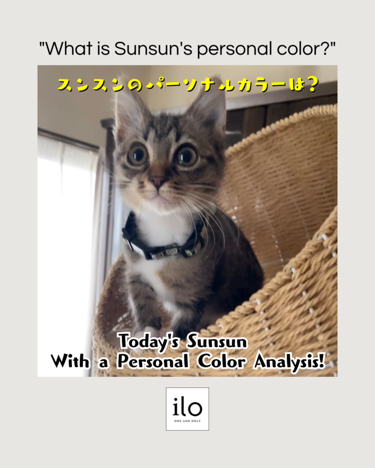 今日のスンスン 〜愛猫もパーソナルカラー診断！？〜 - iloイロカラドットコム